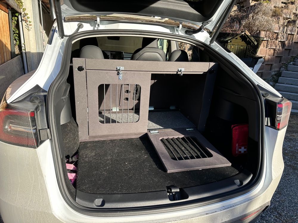 Tesla Model Y Hundebox