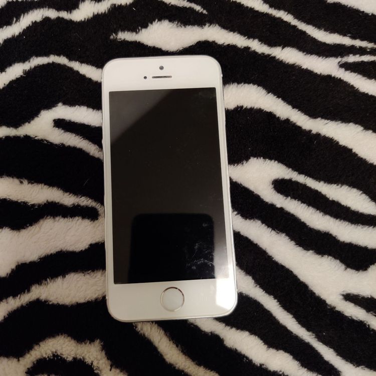 iPhone 5s 1457 | Kaufen auf Ricardo