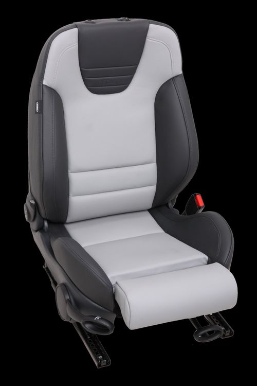 R50 R52 R53 MINI RECARO Sitz Sportsitz Ledersitz seat JCW (Gebraucht ...