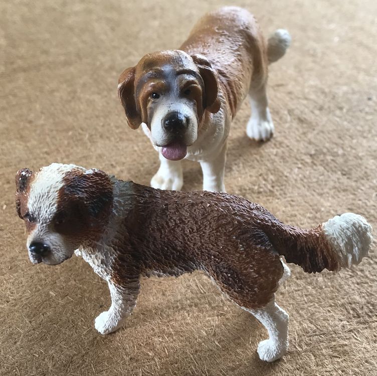 LOT SCHLEICH TIERE BERNHARDINER (Gebraucht) in Ostermundigen für CHF 9 – mit Lieferung auf ...