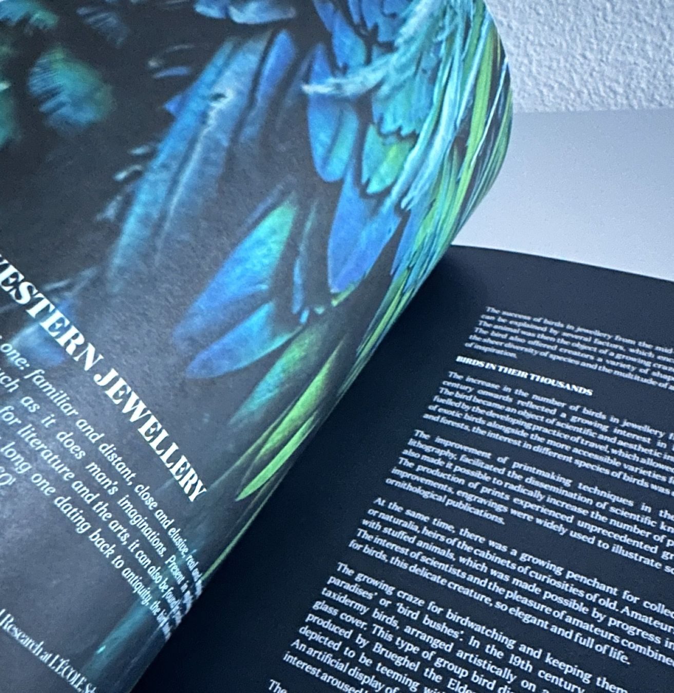 NEW Book Buch Van Cleef & Arpels Jewelry Poetry of Birds (Neu (gemäss ...