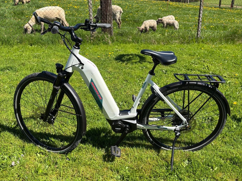 Gebrauchtes E Bike Damen