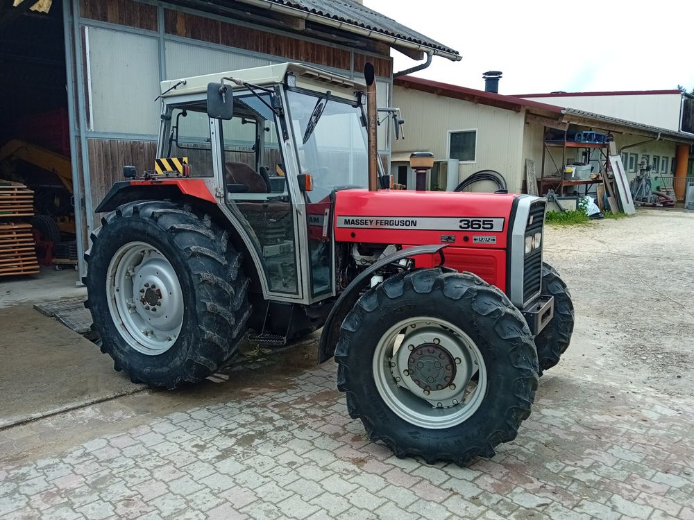 Massey Ferguson 365 T Traktor MF 365 T | Kaufen auf Ricardo
