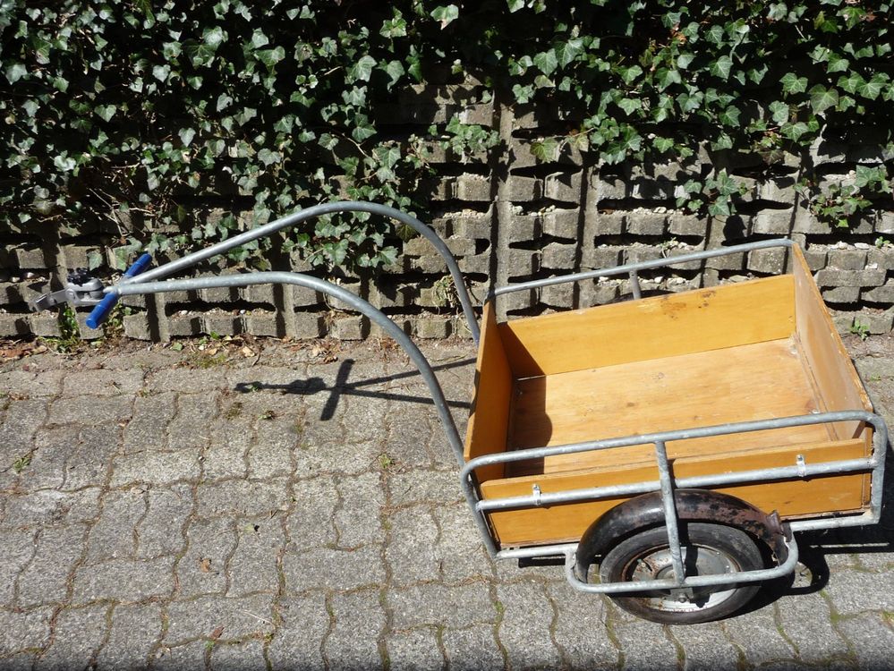 Veloanhänger / Fahrradanhänger (Gebraucht) in Neuhaus SG für CHF 50 – nur Abholung auf Ricardo ...