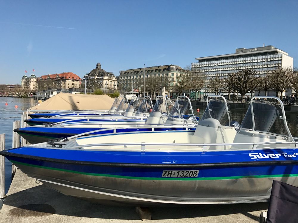 Motorboot mit 8 PS Motor (Gebraucht) in Zürich für CHF 6350 – nur ...