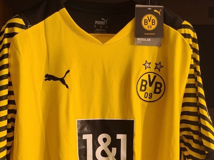 Borussia Dortmund 21/22 Haaland Nr. 9 (Gebraucht) in Dulliken für CHF ...