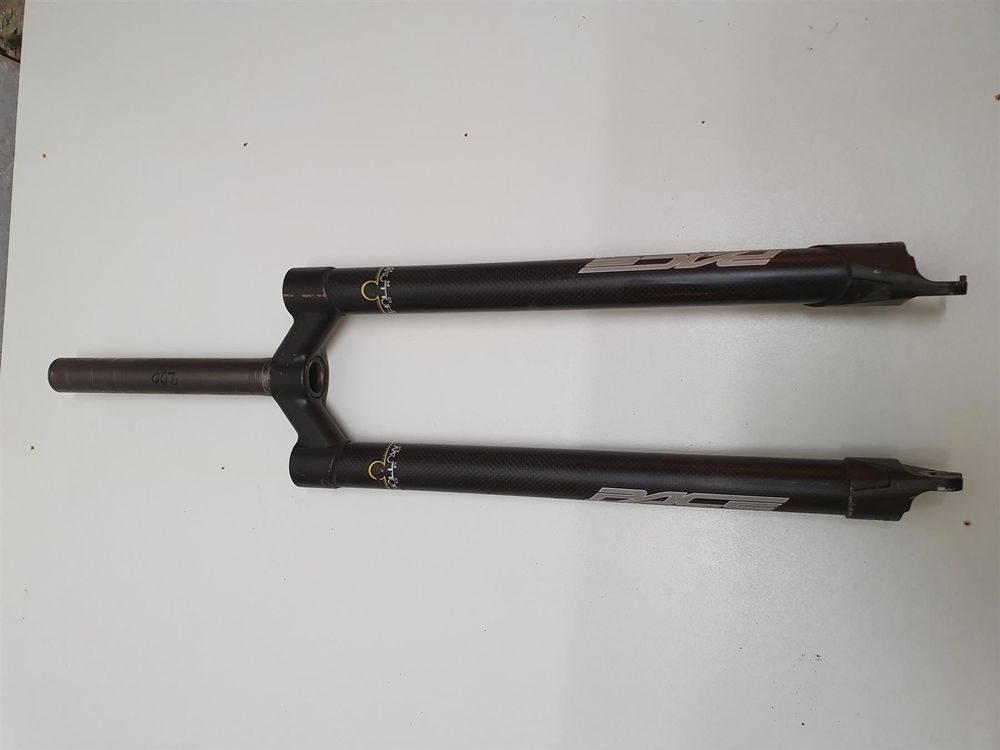 Vintage MTB Carbon Gabel Pace RC31 XC (Gebraucht) in Bern für CHF 95 ...