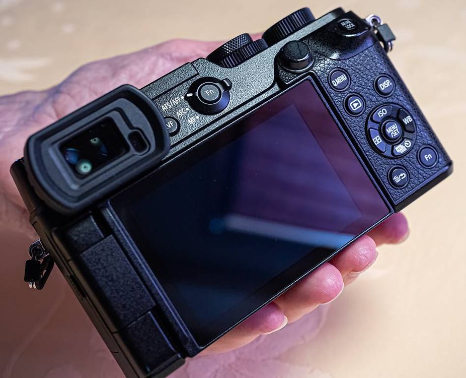 PANASONIC LUMIX GX8 (D'occasion) à Genève pour CHF 400 – avec livraison ...