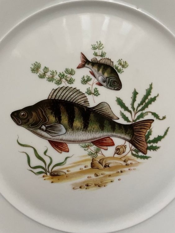 Fisch- Teller (Gebraucht) in Forch für CHF 10 – mit Lieferung auf ...