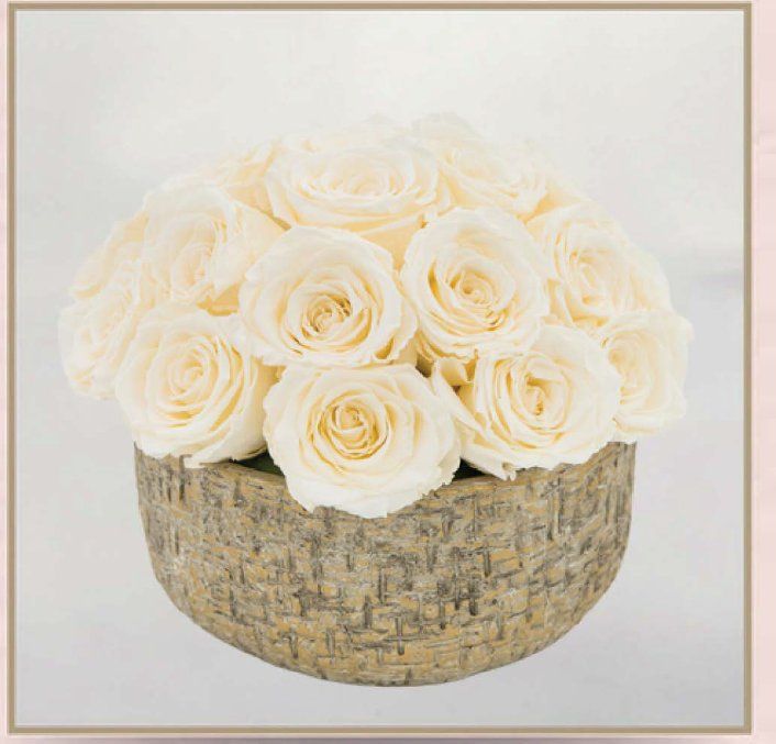 Real roses Preserved (Neu und originalverpackt) in Zürich für CHF 195 ...