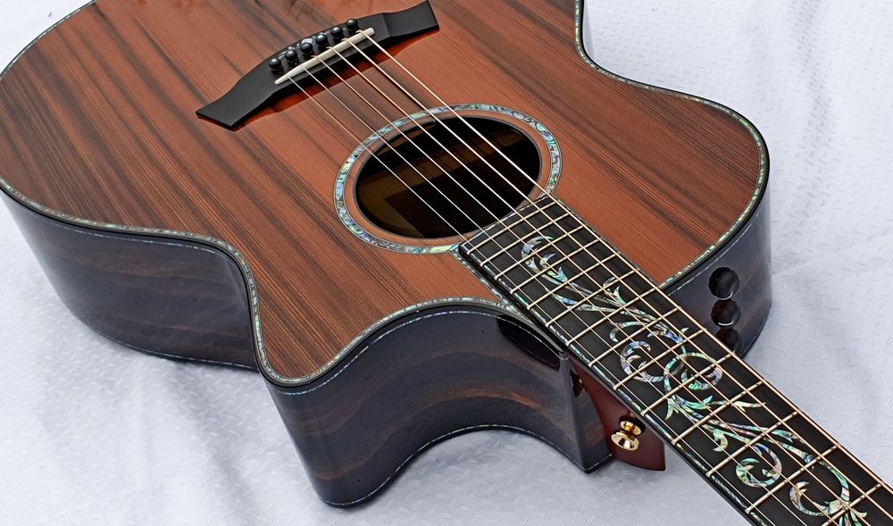 Taylor PS 14 CE V-Class ... Presentation Series 2018 NEU (Neu (gemäss ...