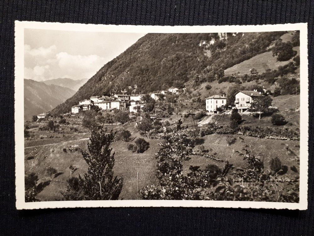 PUGERNA | Kaufen auf Ricardo