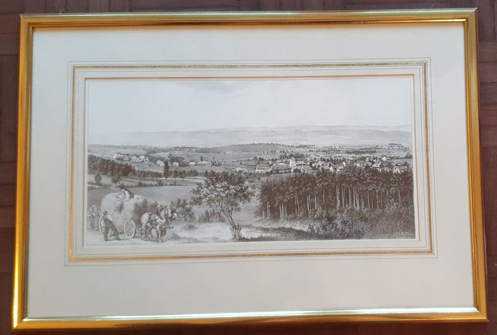 Bild - Lithographie im Goldrahmen. Von Wo? (Gebraucht) in Kreuzlingen ...