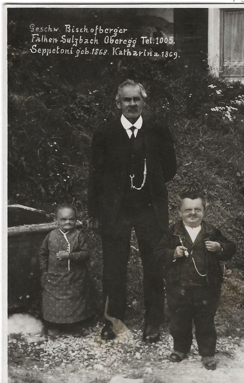 Seppetoni, Falken Sulzbach Oberegg AI, Fotokarte (Gebraucht) in Frauenfeld für CHF 5.8 – mit ...