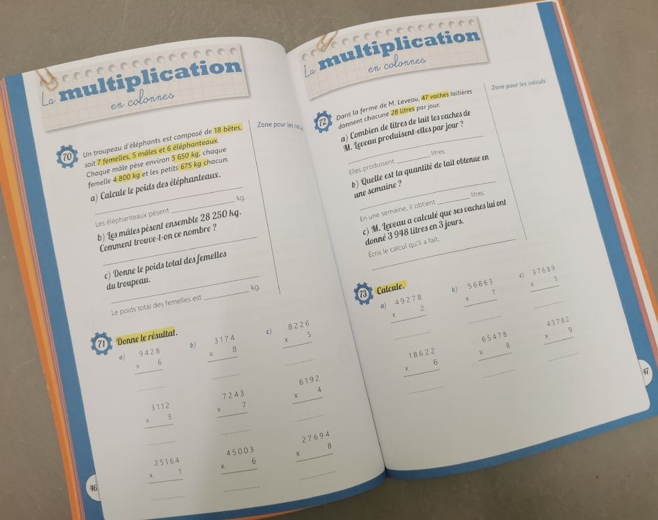 Cahiers de révision | Kaufen auf Ricardo