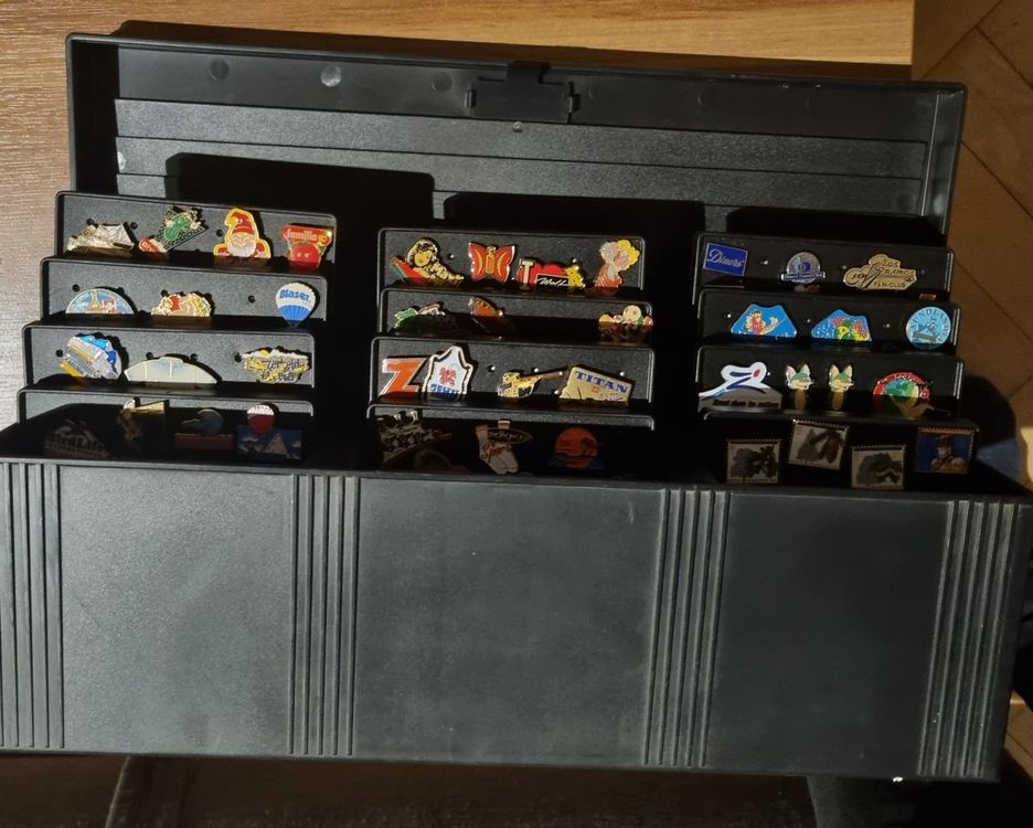 Pin-Box ( 15cm x 15cm x 40cm ) mit ca 250 Pins | Kaufen auf Ricardo