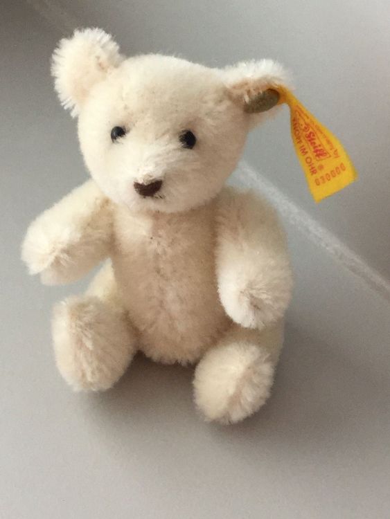 Miniatur Teddy Steiff (weiss) (Neu (gemäss Beschreibung)) in Biel ...