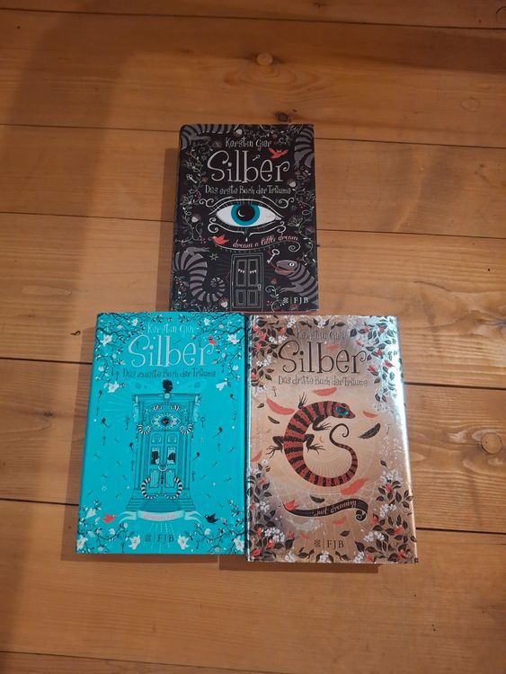 Silber Trilogie, 3 Bücher, Kerstin Gier Fantasy (Gebraucht) in ...