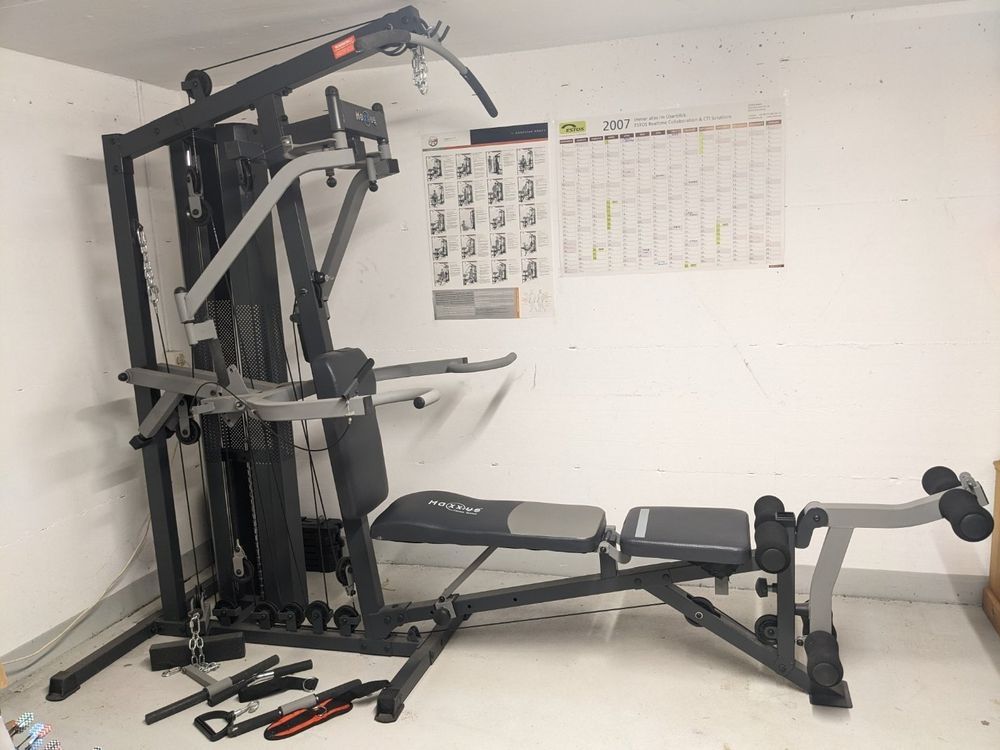 MAXXUS Kraftstation Fitness - BodyMaxx 8000 (Gebraucht) in Rothrist für ...