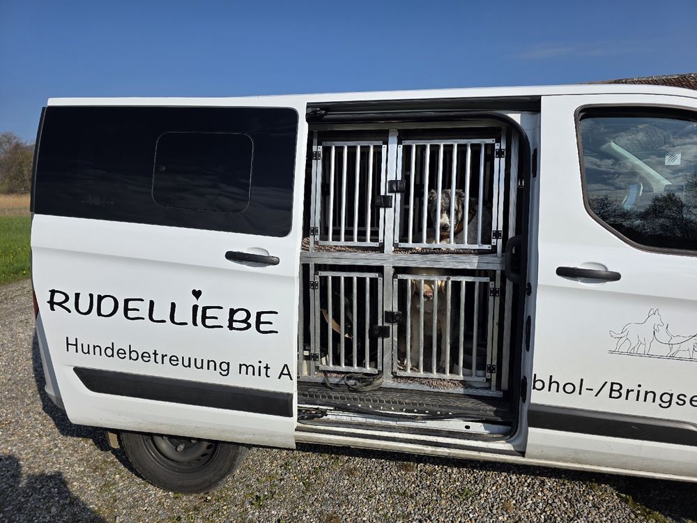 Ford Transit Custom 9-Plätzer mit Boxen (Gebraucht) in Sonterswil für ...
