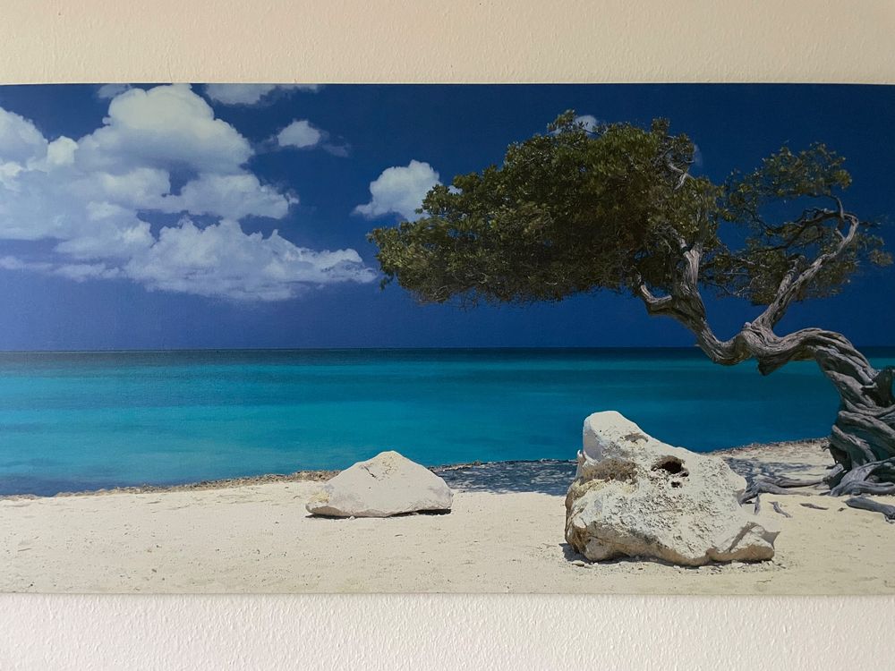 Leinwandbild Meer (Gebraucht) in Henggart für CHF 3.5 – nur Abholung auf Ricardo kaufen