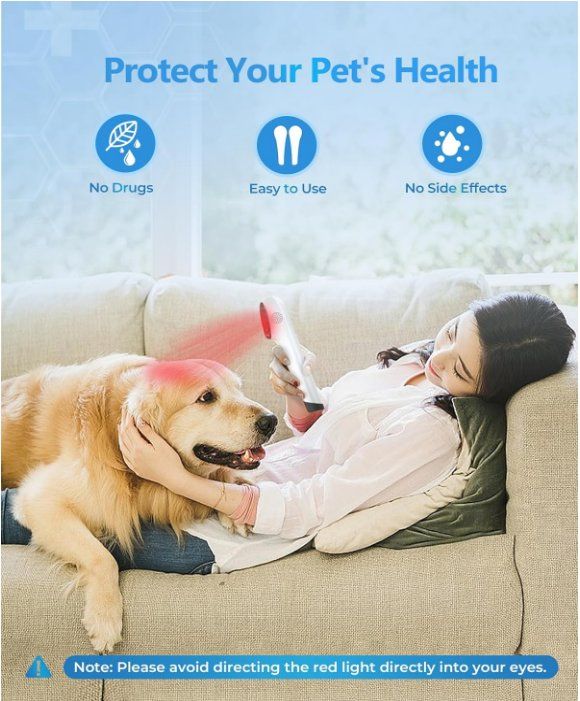 Infrarot Schmerz Laser für Menschen und Haustiere red lights (Neu ...