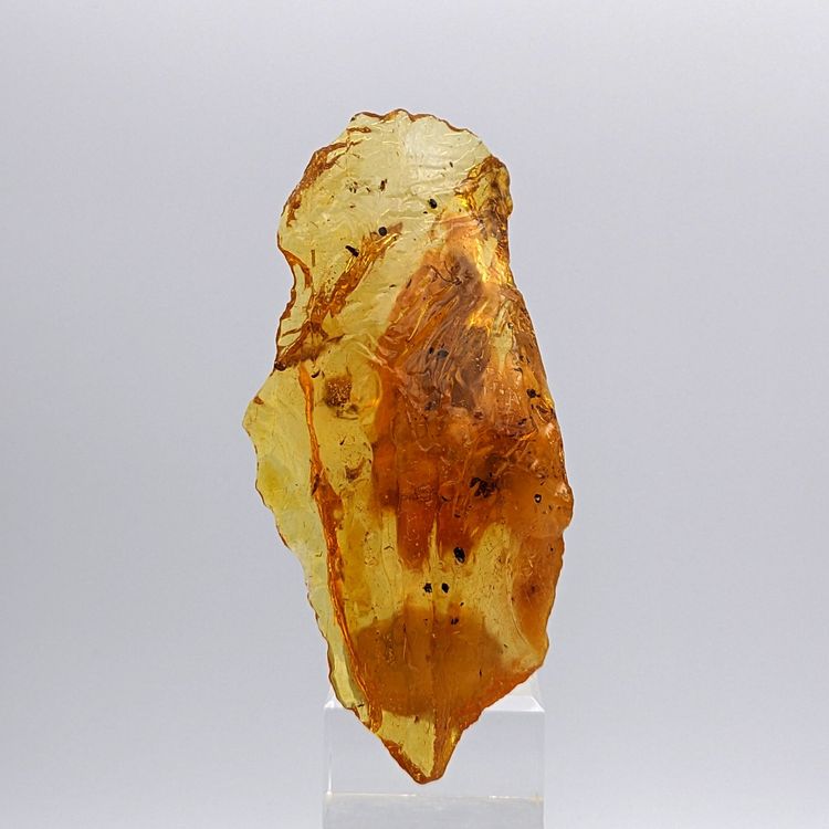 HONIGFARBENER KOPAL-BERNSTEIN mit MÜCKEN und INSEKTEN (Neu (gemäss Beschreibung)) in Balerna für ...