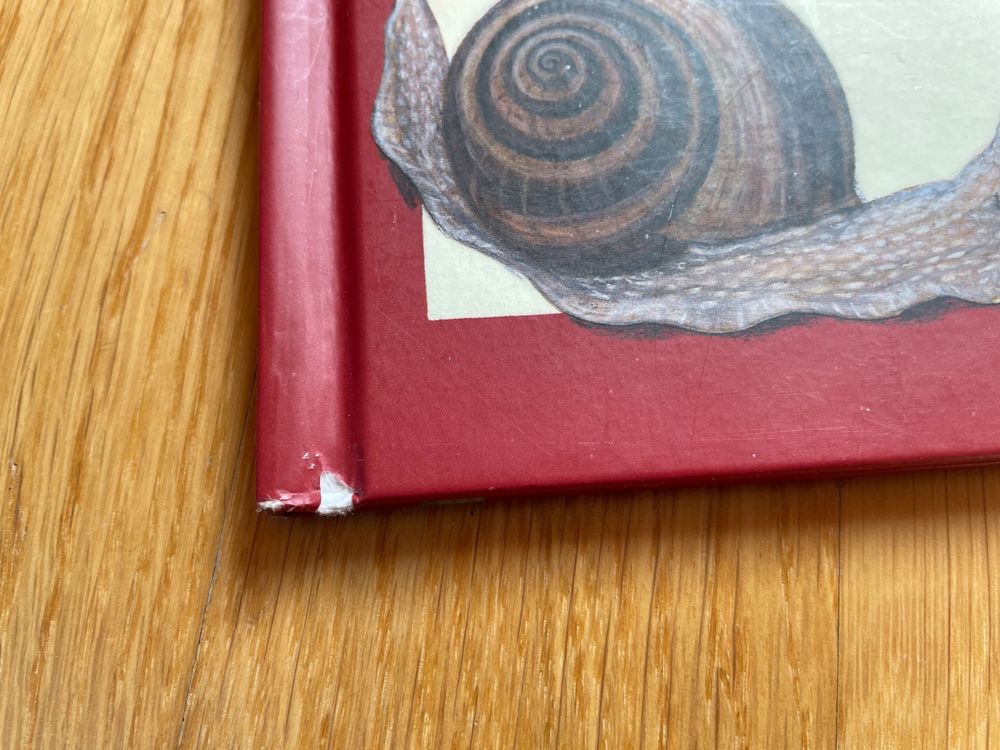 Lorenz Pauli Kathrin Schärer Mutig, mutig (Gebraucht) in Bern für CHF 7 ...