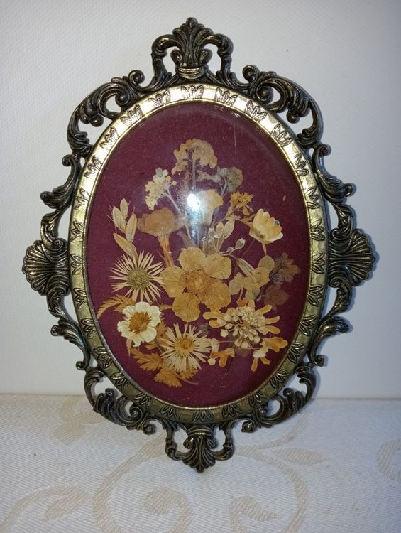 Vintage o. Antik Trockenblumen im Messing-Rahmen Made Italy (Gebraucht ...