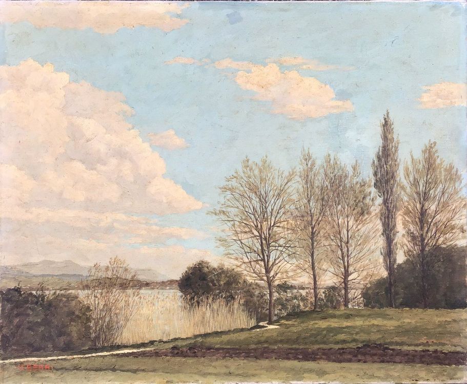 Carl Behr alte Landschaftsgemälde (Gebraucht) in Hochdorf für CHF 25 ...