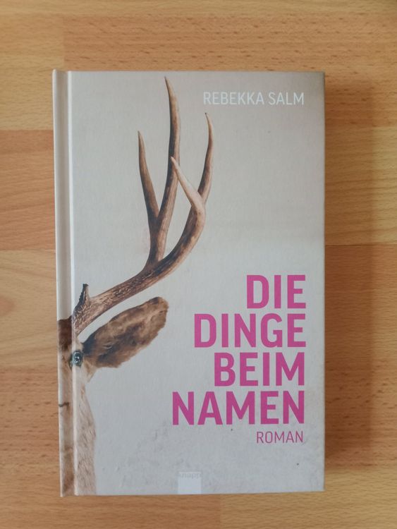 Rebekka Salm Die Dinge beim Namen Roman Schweiz (Gebraucht) in Wangen b ...
