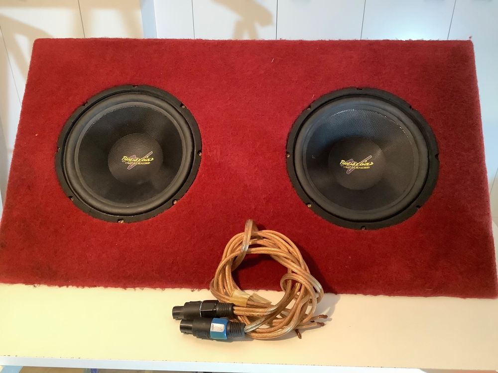 Phoenix Gold Subwoofer (Gebraucht) in Seuzach für CHF 69 – nur Abholung ...