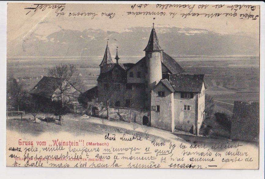 Schloss Weinstein bei Marbach – Blick über das Tal 1902 (Gebraucht) in ...
