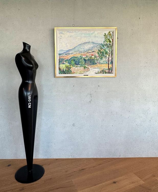 Hans-Rudolf Meyer - Swiss Art Selection | Kaufen auf Ricardo