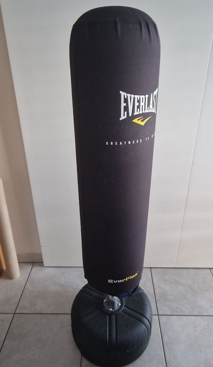 Everlast Everflex Cardio Strike Bag zu verkaufen (Gebraucht) in ...