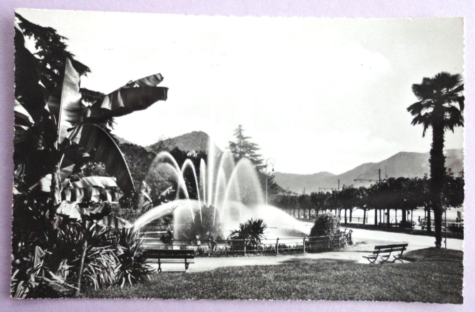 Lugano, Giardini pubblici (Usato) a Fétigny per CHF 1 – con consegna ...