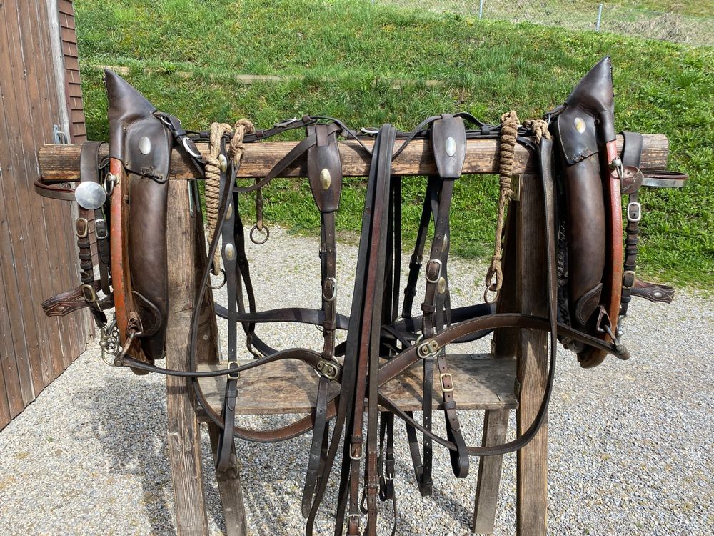 Pferde Kutsche Pferdegeschirr (Gebraucht) in Mogelsberg für CHF 380 – nur Abholung auf Ricardo ...