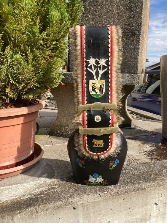 Treichel Muotathal (Gebraucht) in Alpnachstad für CHF 96 – nur Abholung ...