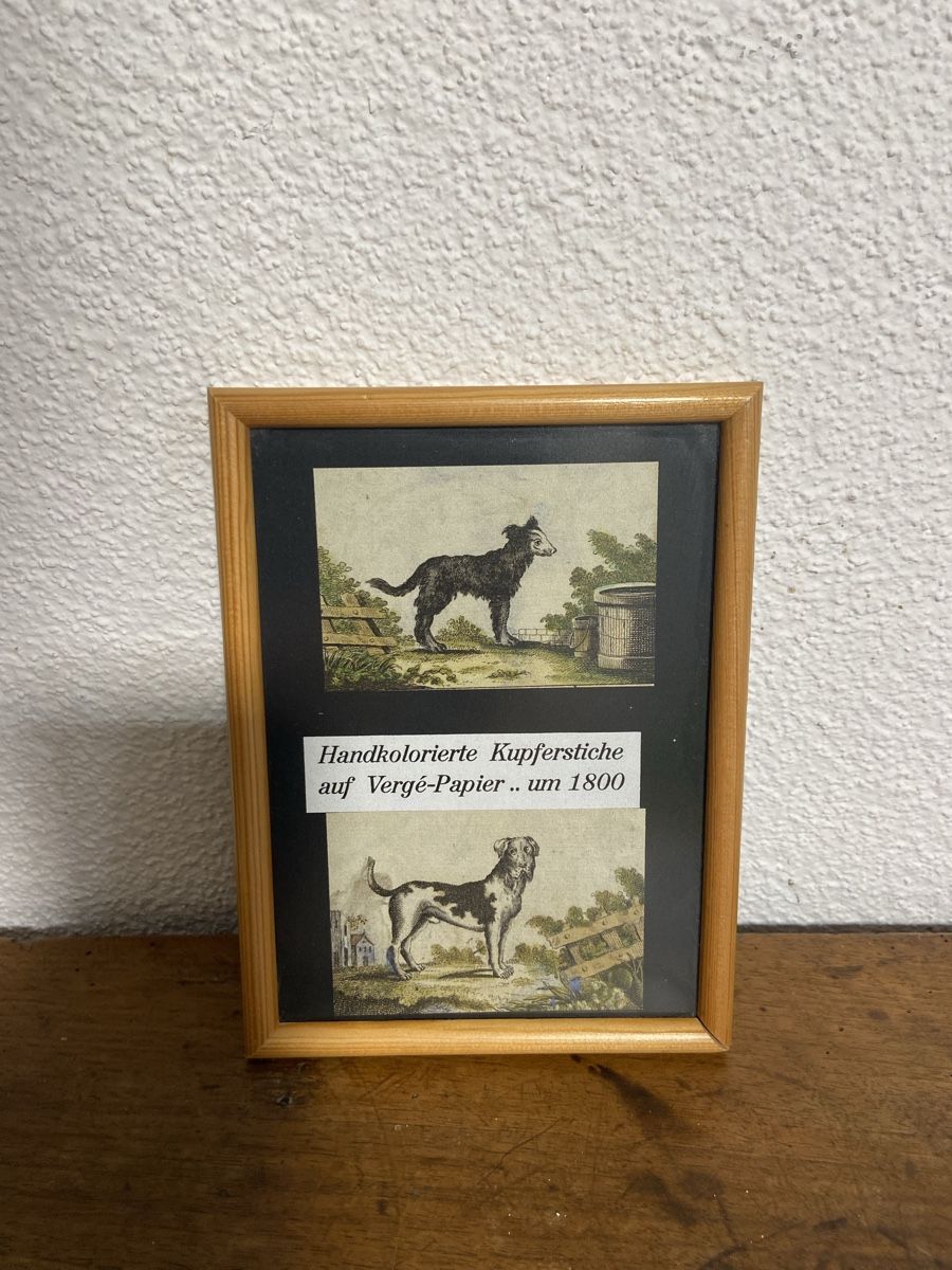 Antike Tierstiche, Hunde auf Vergé-Papier, um 1800🖼️ (Gebraucht) in ...