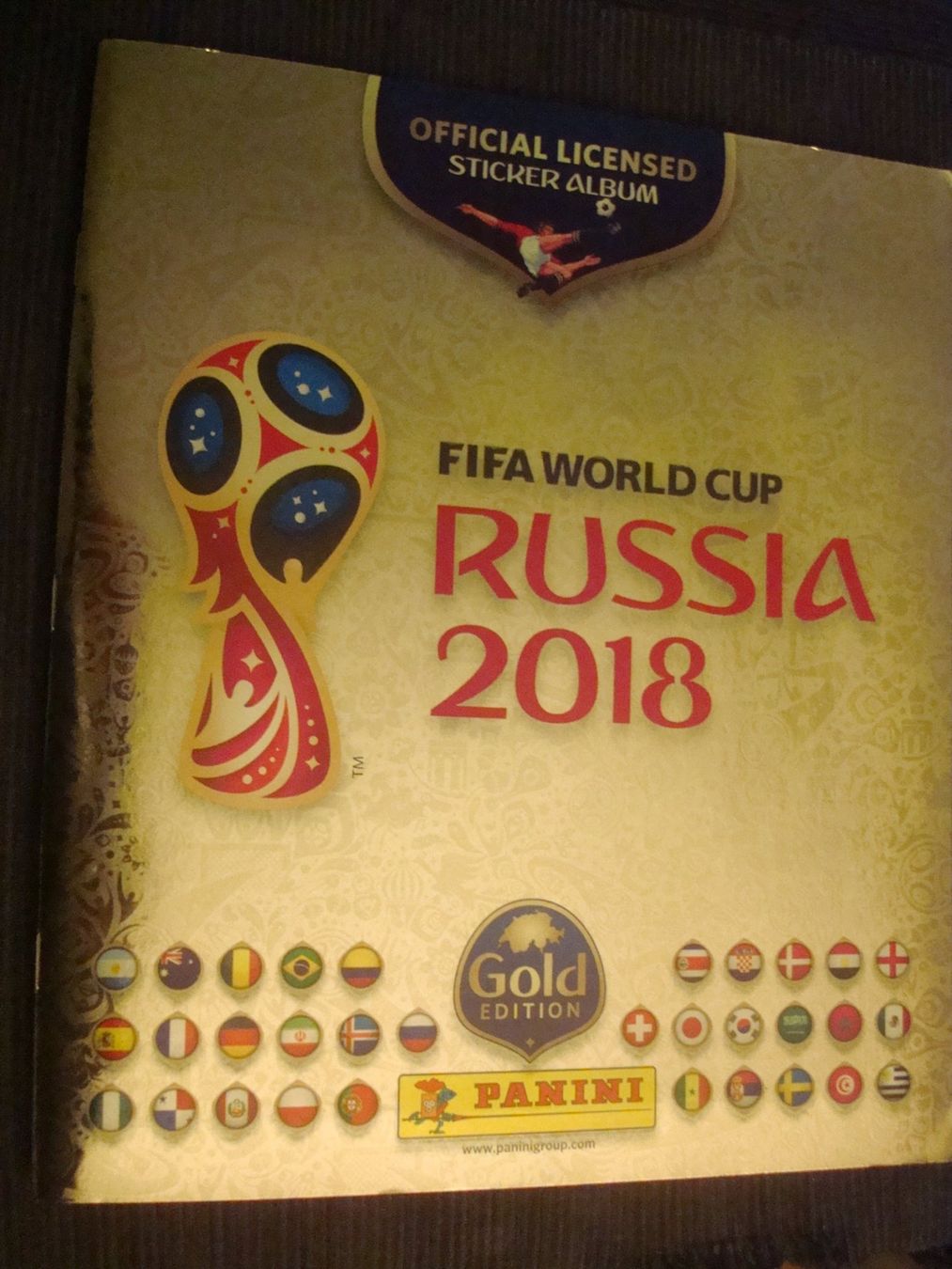 Panini Album - FIFA WORLD CUP 2018 - Russia 12 Bilder fehlen (Gebraucht ...