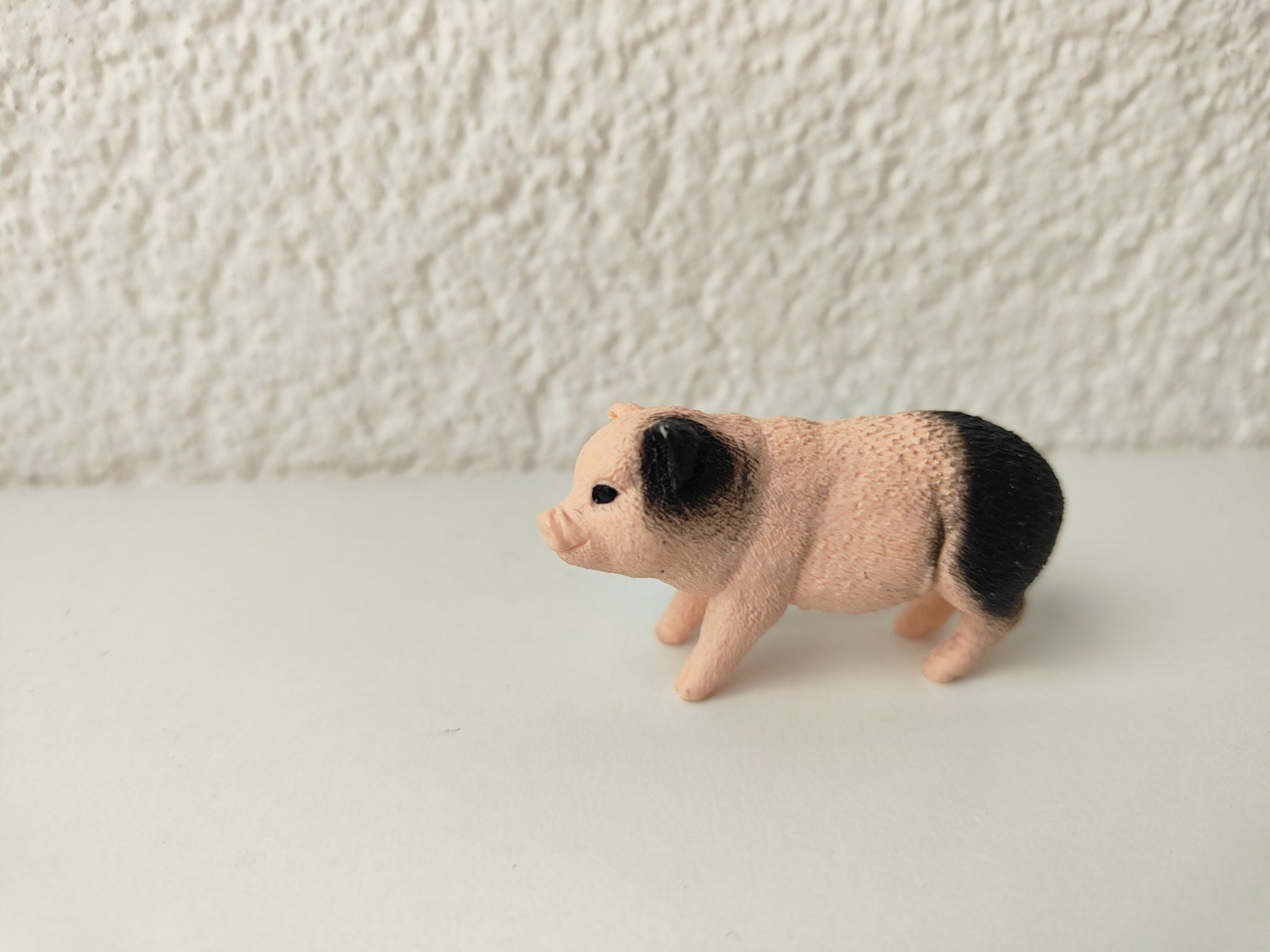 Schleich Schweine Mini Mutter Schwein (Gebraucht) in Thalwil für CHF 7 ...