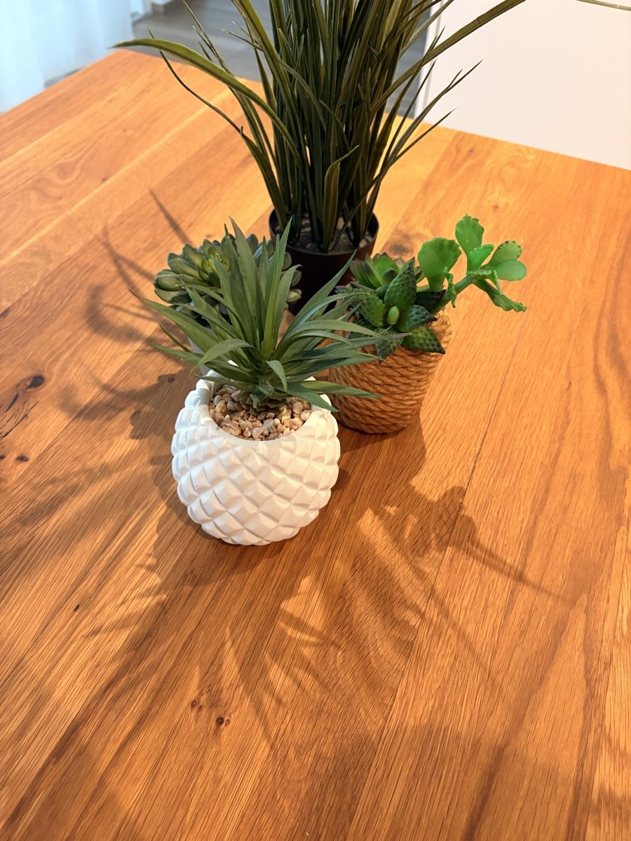 Frühlingsdeko: 3er Set künstliche Pflanzen im Topf 🌱🪴🌷 (Gebraucht) in ...