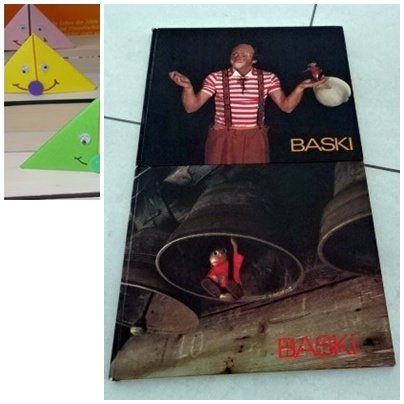 2 Baski-Bücher, (Gebraucht) in Wetzikon ZH für CHF 15 – mit Lieferung ...