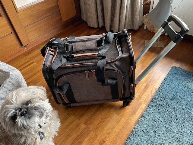 Chien-Chat Trolley Voyage-Extensible -Airline Aproved (Neu (gemäss ...