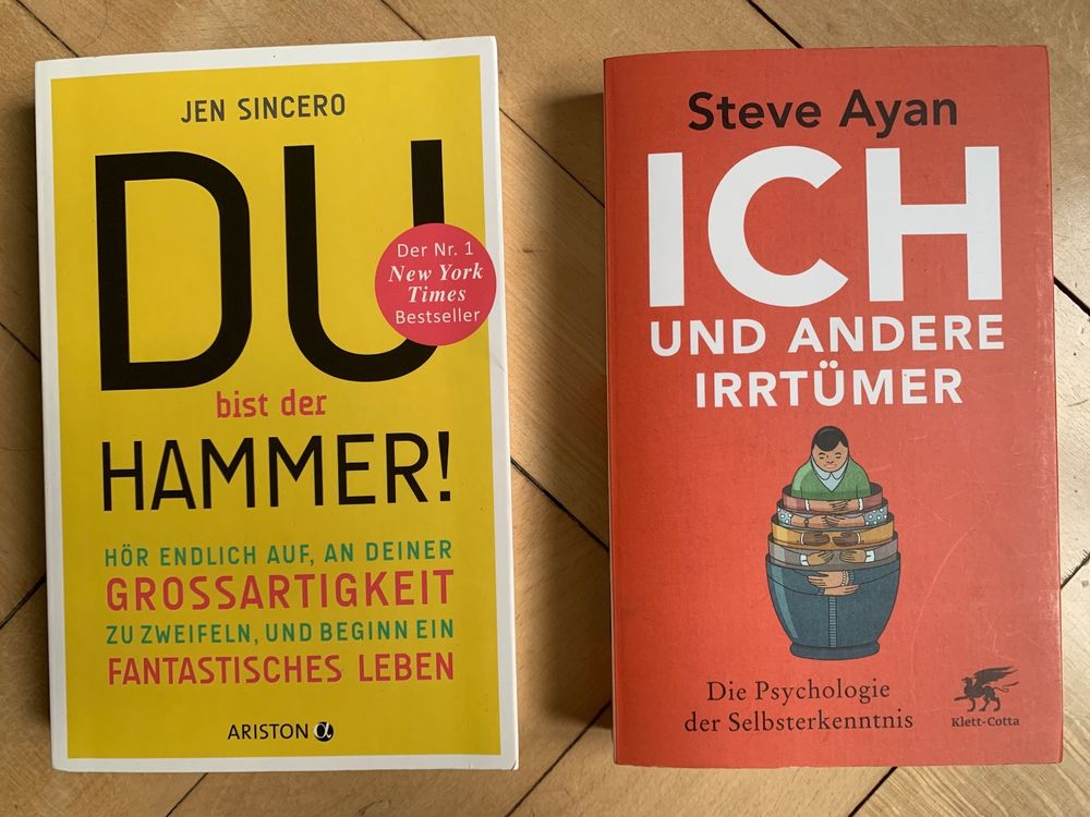 Du bist der Hammer / Ich und andere Irrtümer | Kaufen auf Ricardo