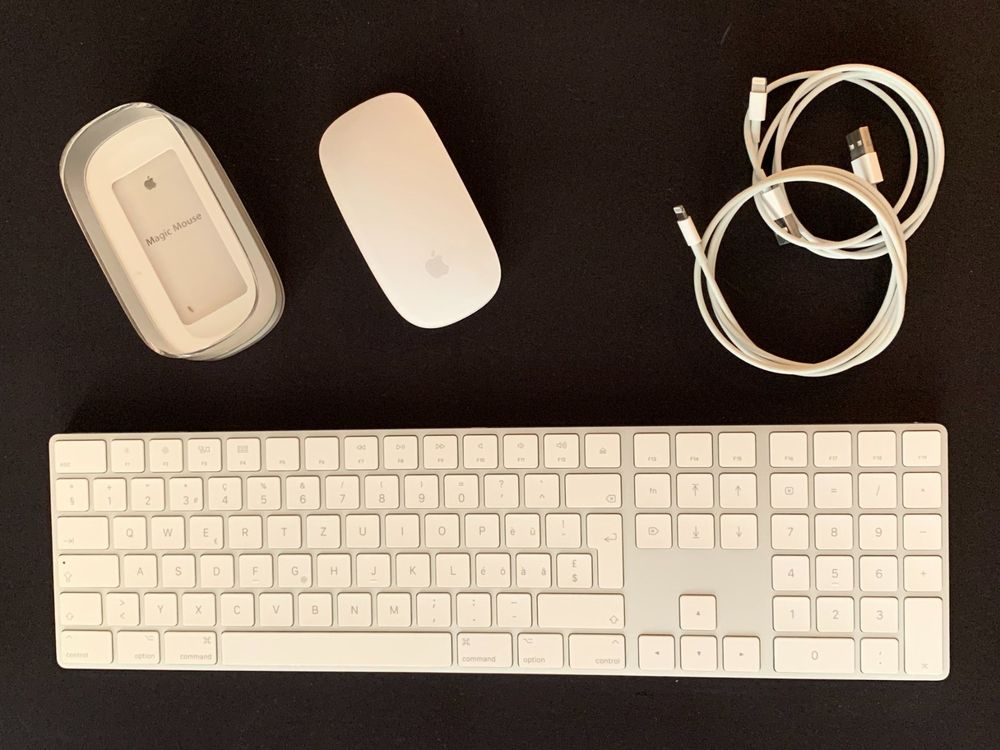 Apple Keyboard + Magic Mouse (Gebraucht) in für CHF 85 – mit Lieferung auf Ricardo kaufen