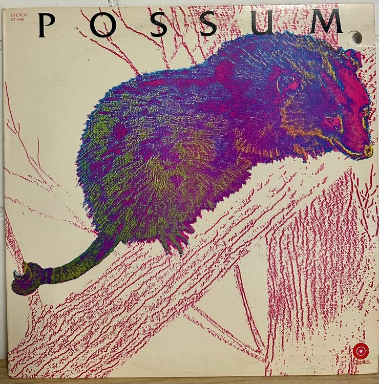 Possum - Possum // LP: VG+; Sleeve: VG+ | Kaufen auf Ricardo