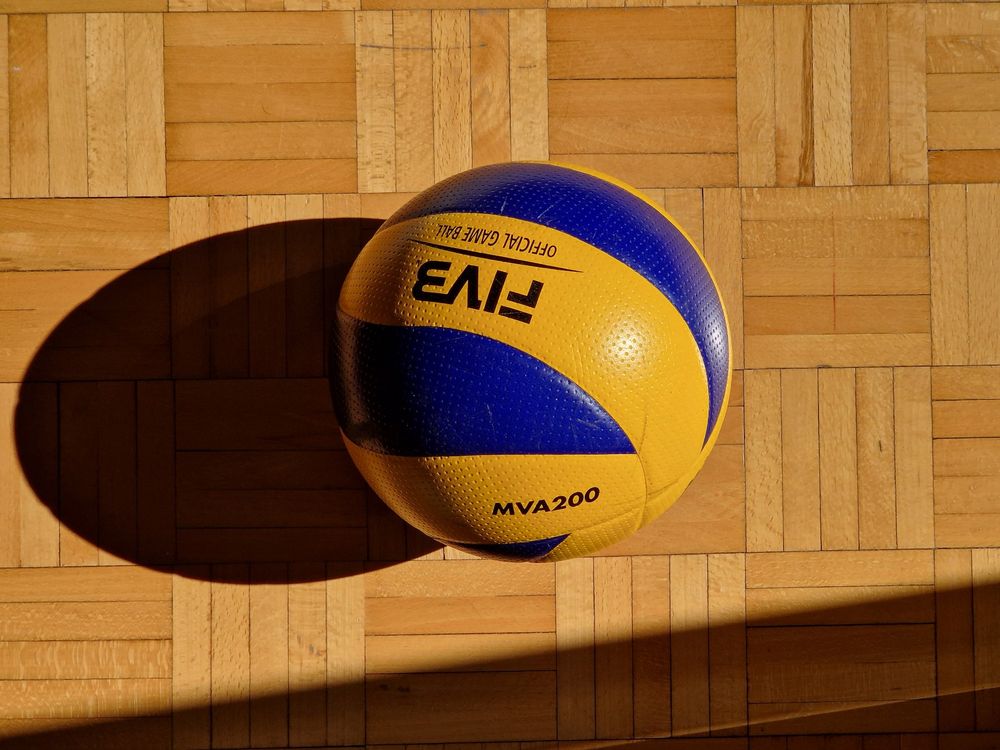 Ballon de Volley-ball Mikasa MVA200 (Gebraucht) in Lausanne für CHF 30 ...