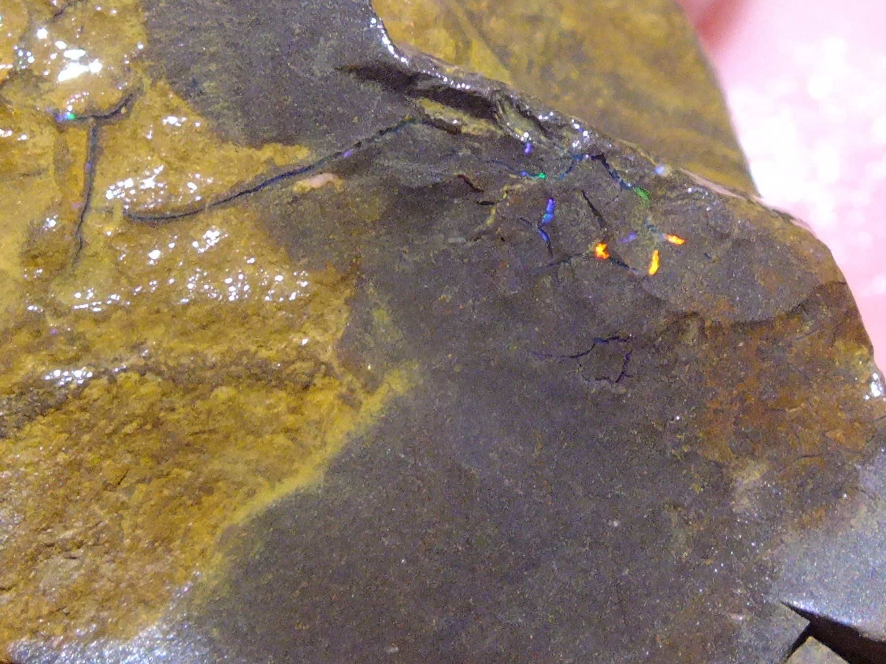 BOULDER ROH OPAL 72 Karat Gebot 1.- Elektrisch Pin feuer (Neu und ...