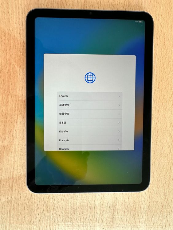iPad mini 256 GB | Kaufen auf Ricardo